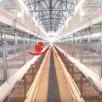 Quality 3-4 Tiers Manual Catching Broiler Cage System with Enough Space for sale