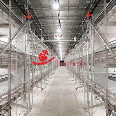 China Enough Activity Environment Cage Free System For Stress Reduction for sale