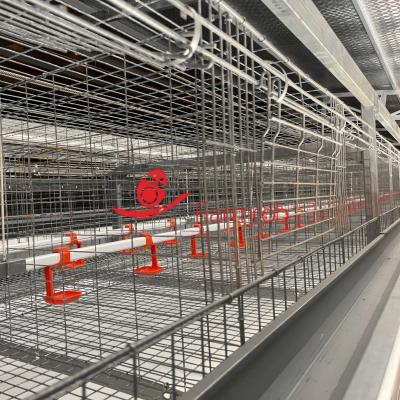 China 50000 Birds Poultry Battery Cage System With Hygienic Design And Spacious Layout for sale