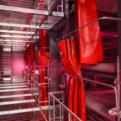 China Efficient Poultry Production Management Layer Chicken Cage System Built With Durable Corrosion Resistant Materials for sale