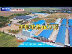 12 tiers 6 rows layer farm