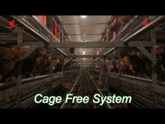 multi-layer cage free system with sufficient movement platform