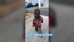 mini Ladybug backpack for kids
