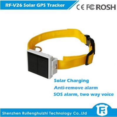 China rf-v26 waterproof mini solar power gps tracker cow with sos button alarm for sale