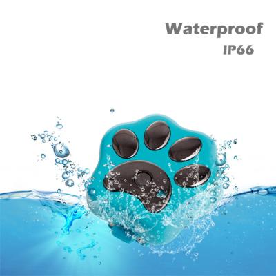 China o perseguidor esperto impermeável o mais novo de 2016 gps do animal de estimação para o cão/gato com rolamento conduziu a luz à venda