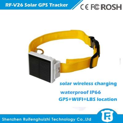China Reachfar rf-v26 mini waterproof solar gps tracker animal suitable for cattle/cow tracking for sale