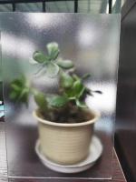 China Light Diffusing Opal Polycarbonate Sheet Easy Fit 3mm for sale