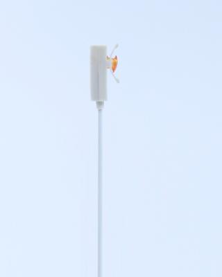 Cina Luce pilota a LED rosso 8 mm Luci indicative a LED bianche industriali in vendita