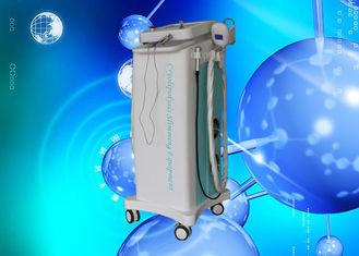 China Cryolipolysis Slimming Machine with Two Cryolipolysis Handles for slimming spa for sale