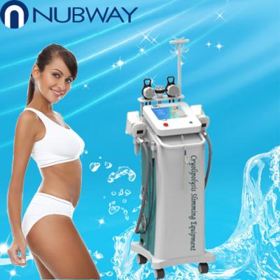 China 360*350*1100mm Cryolipolysis Slimming Machine for Body Contouring and Losing Weight for sale