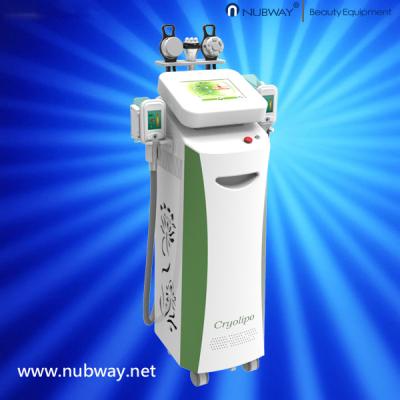 China Five Handles Vertical Latest Cryolipolysis Beauty Equipments for Slimming Body Lifting for sale