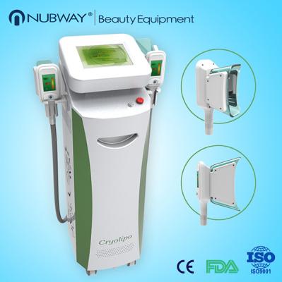 China Latest Design!!! Efficient Fast Slimming Cryolipolysis Slimming System for sale