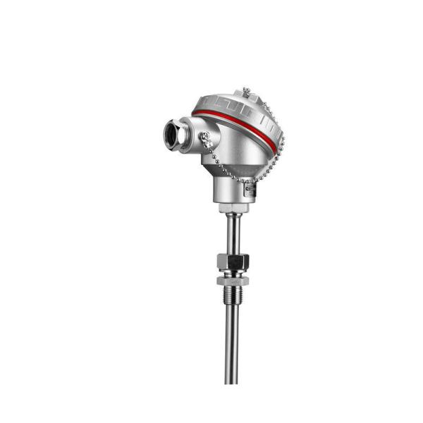 Quality Customized Armored Explosion-proof Thermocouple Temperature Instruments for Industrial for sale