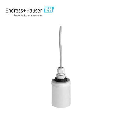 China 100% New Original Endress-Hauser Ultrasonic Interface Sensor Turbimax CUS71D Digital Sludge Level Sensor a Good Price in Stock for sale