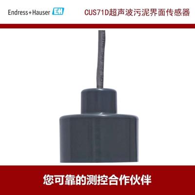China EMF Turbidity Analyzer Ultrasonic Sludge Interface Sensor CUS51D-AAD1A4  for sale