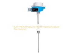 TM101 RTD TM121 Θερμοστοιχείο TM131 Πομπός Θερμοκρασίας TMT82 TR10