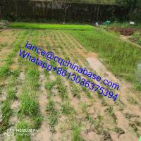 China 2HP 52cc Low Displacement Multifunction Power Weeder Easy Opperate for sale