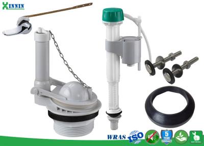 Cina 3