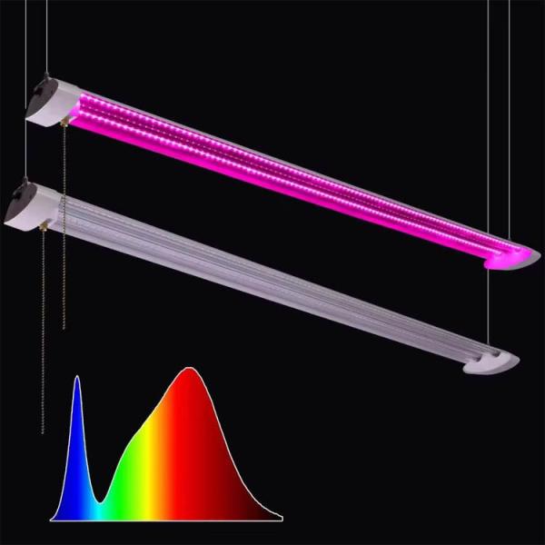 Quality Customized T8 Split Lamp Tube LED Light Source in Pink Color for Project Installation for sale