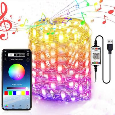 China 80 Ra Color Rendering Index USB Bluetooth RGB LED String for Outdoor Tree Decoration for sale