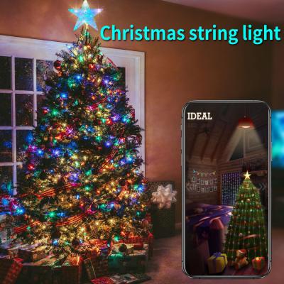 China RGB Colorful Light String USB Colorful Light LED Christmas Tree Light Strip with Agi32 Layout and 1- for sale