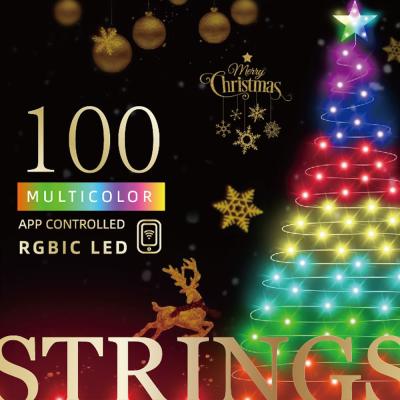 China RGB Colorful Light String USB Colorful Light LED Christmas Tree Light Strip with Agi32 Layout and 1- for sale