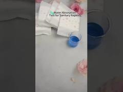 Dimensão Plus Absorção durante a noite Superfície seca rápida Períodos femininos Mulheres guardanapos sanitários