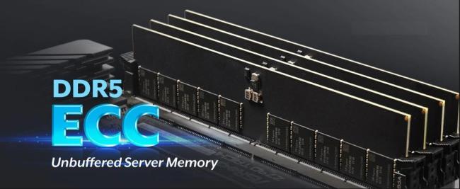 DDR4 Ecc Server Memory 16GB 2400MHz 2g*4 1r*4 1.2V PC4-19200 Ecc-DIMM Kits (X2)