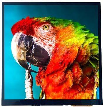China 7.5inch 800X800 IPS Highlight Square LCD Display with Pcap & Optical Bonding for sale