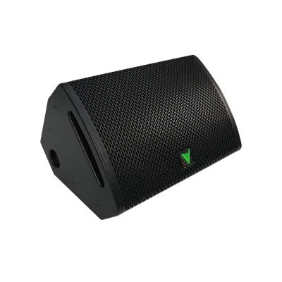 Cina 400W 12 pollici chiesa monitor altoparlanti passivo nero Stonetex vernice in vendita