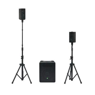 Китай Подключенный Pa Line Array колонный динамик 650W для коммерческого роудшоу продается