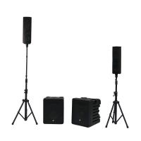 China Active 650W Powered Pa Line Array Column Speaker for Commercial Roadshow for sale
