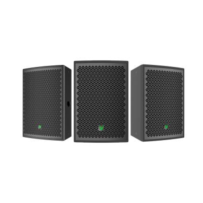 Cina Sistema di altoparlanti PA passivo personalizzato 15 pollici 500W a bassa frequenza in vendita
