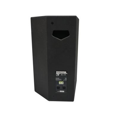 Cina Sistema di altoparlanti PA passivo personalizzato 15 pollici 500W a bassa frequenza in vendita