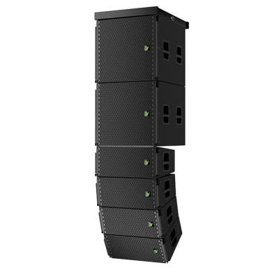 China 600W Custom Box 10 Inch Line Array Dual Black Stonetex Paint for sale