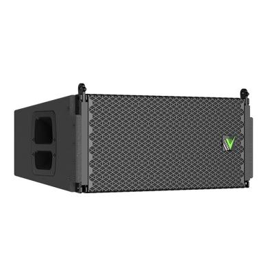 China 600W Custom Box 10 Inch Line Array Dual Black Stonetex Paint for sale