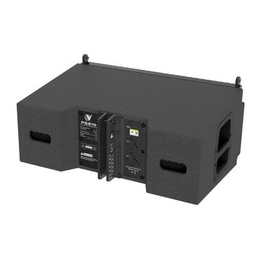 China 600W Custom Box 10 Inch Line Array Dual Black Stonetex Paint for sale