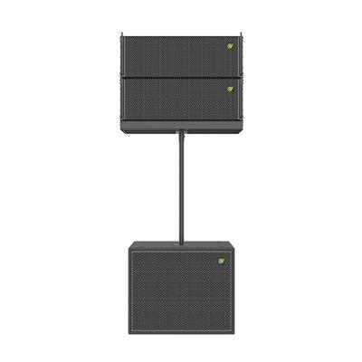 Cina Casella sonora portatile passiva 600W doppio altoparlante da 10 pollici esterno in vendita