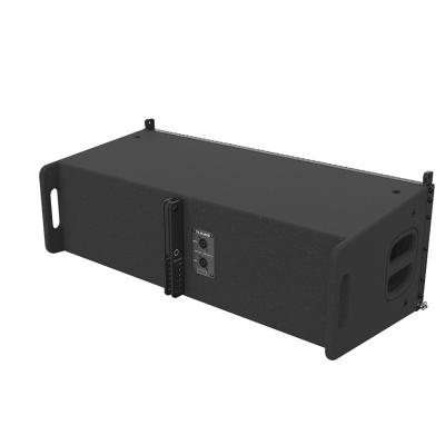 China Full Range Passive Line Array Speaker System Black Dual 10 Inch for sale