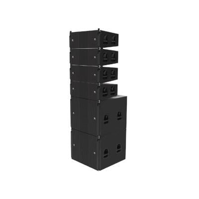 Cina Parlanti da concerto a propulsione passiva Line Array Dual 10 Inch Outdoor Speaker in vendita