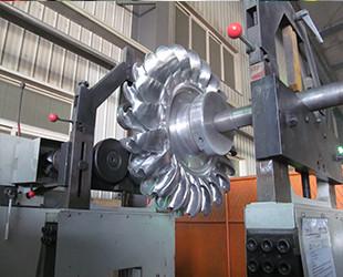China Long life Pelton Turbine Generator for sale