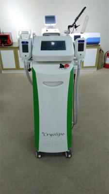China Fat Cells Reduction Criolipolisis Fat Freezing Machine/slimming machine for sale