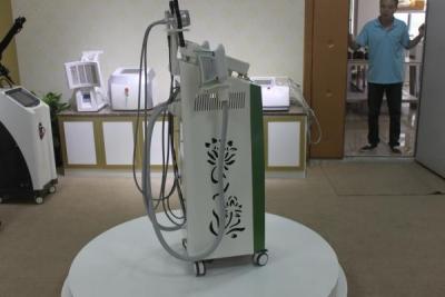 China Freeze fats system cool body shaping cryolipolysis slimming system/cryolipolysis machine for sale