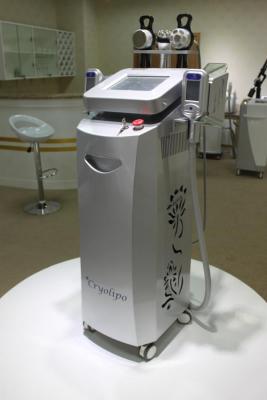 China 2016 Weight Loss Hot selling body slimming Fat reduction cryolipolysis freeze sculptor for sale
