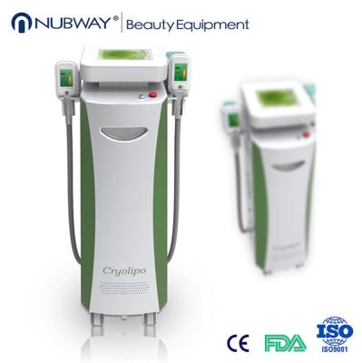 China Promoted!New Fat Freeze Cryotherapy Weight Loss Machine Cryolipolysis Machine with 3 Heads for sale