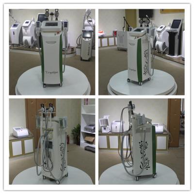 China Cellulite Reduction,Weight Loss Feature cryolipolysis freeze fat removal machine for sale