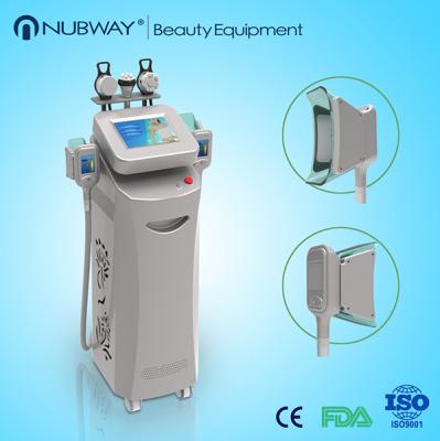 China Best Selling Machine Weight loss Cryolipolysis with 2 handles working at the same time for sale