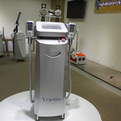 China 2016 cryolipolysis whole body fat freezing cool shaping slimming reducing cryo lipo device for sale
