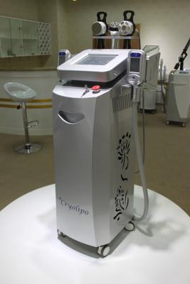 China Big Promotion Hottest cryo weight loss machine cryolipolysis slimming instrument for sale