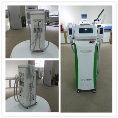 China 2016 popular cryolipolysis speedy freeze fat machine for body slimming and weight loss for sale